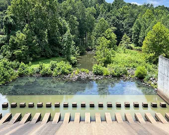 The dam creates a serene reservoir where nature and engineering meet in perfect mountain harmony.