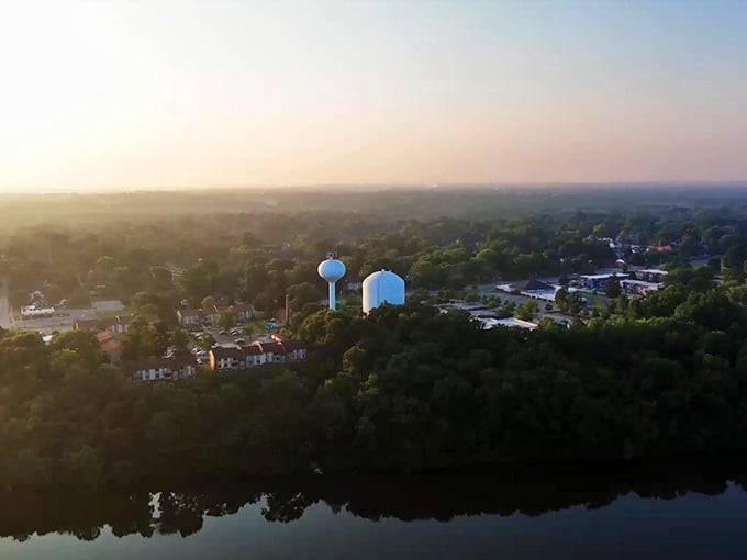 From above, Danville reveals itself as a community nestled in greenery, not concrete sprawl choking out every tree.