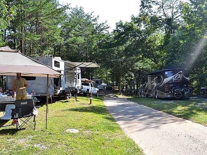 RV campers nestle among towering pines, creating a temporary neighborhood of outdoor enthusiasts sharing nature's bounty together.