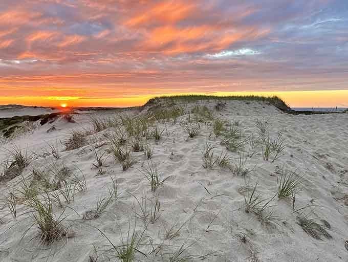 Sunset over the dunes delivers colors so vivid they make your phone's camera weep with inadequacy.