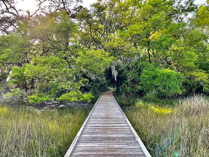 This boardwalk through the marsh proves the journey matters just as much as the destination, maybe even more.