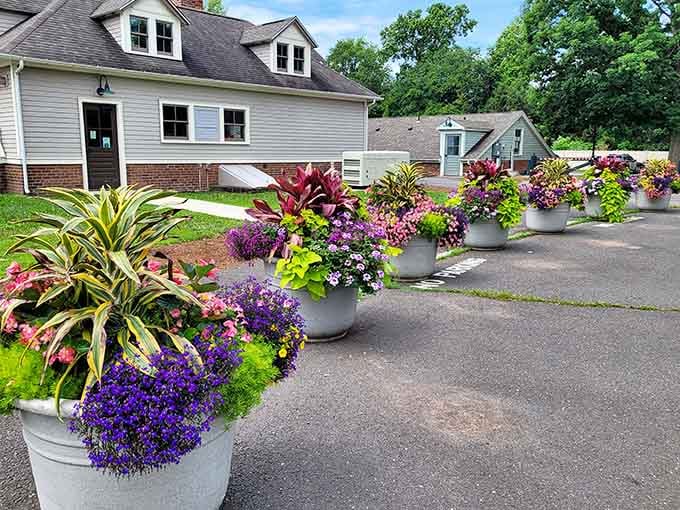 Container gardens lining the pathway demonstrate that beauty comes in all sizes and arrangements.