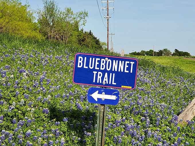When Texas puts up directional signs for flowers, you know you're in a place that takes beauty seriously.