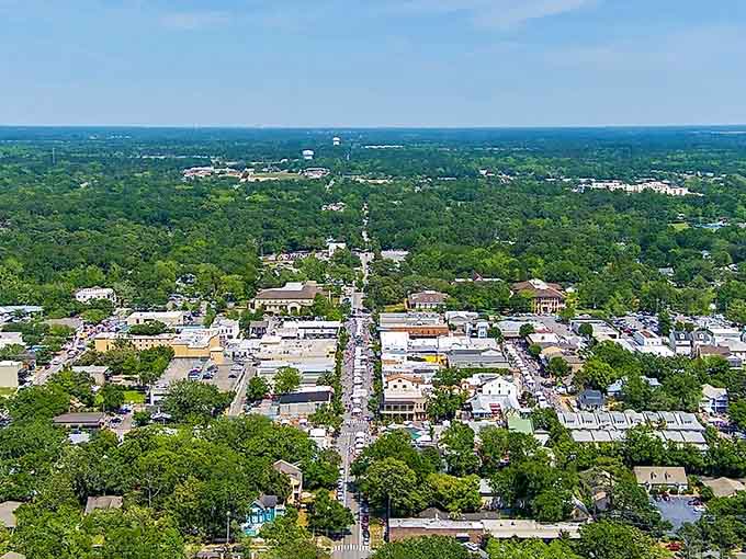 From above, you can see how the town balances growth with green space, progress with preservation.