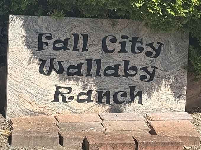 When you need a hand-carved wooden sign to convince people that yes, wallabies really do live here.