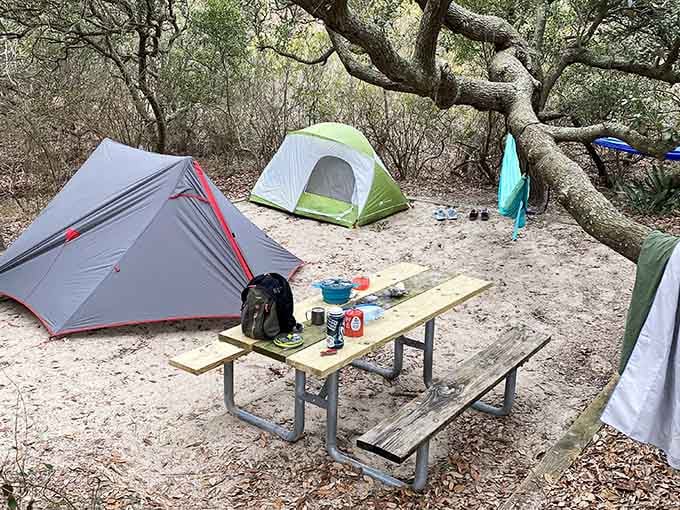 Forest campsites offer shaded refuge where gnarled live oaks provide natural air conditioning and endless character for your Instagram posts.