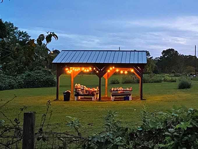 Evening lights illuminate the picnic pavilion, transforming a simple structure into an inviting gathering spot for visitors.