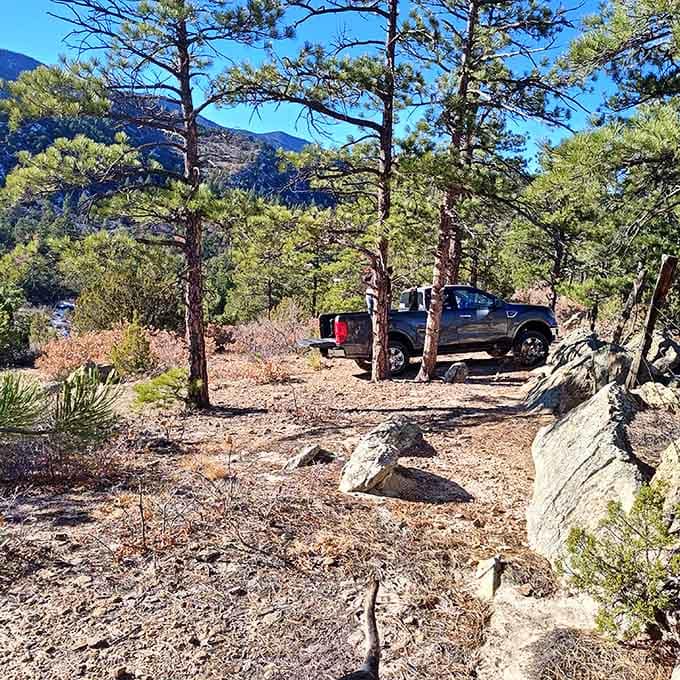 Pine trees frame mountain vistas at Florence Mountain Park, where nature provides the perfect antidote to downtown's delightful commercial chaos.