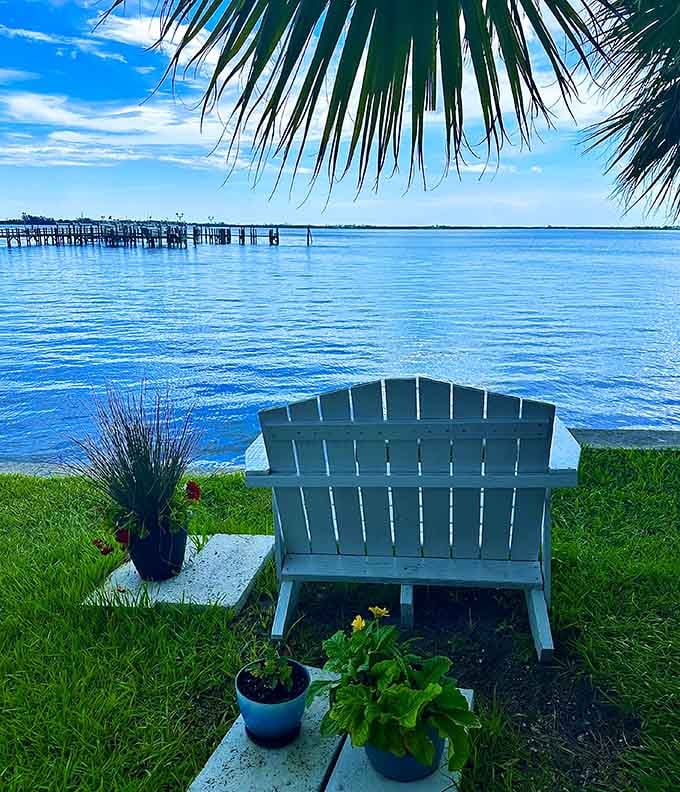 That stunning Indian River view reminds you that sometimes the best restaurants don't have walls, just incredible scenery and food.