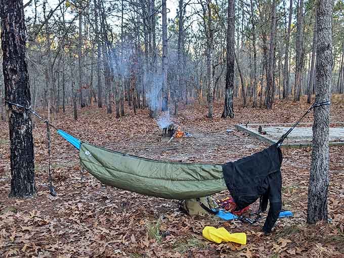 Hammock camping takes relaxation to another level when your bedroom view includes ancient trees and absolute peace and quiet.
