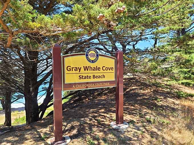 That cheerful yellow sign marking your gateway to a beach that exceeds every expectation you brought along.