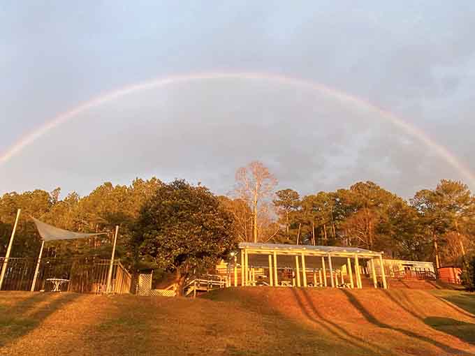 Rainbows over Greensboro feel like nature's way of saying you picked the right place to spend your precious time off.