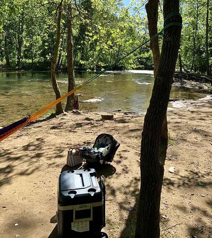 Riverside camping spots where your morning coffee comes with a view that beats any hotel room you've ever booked.