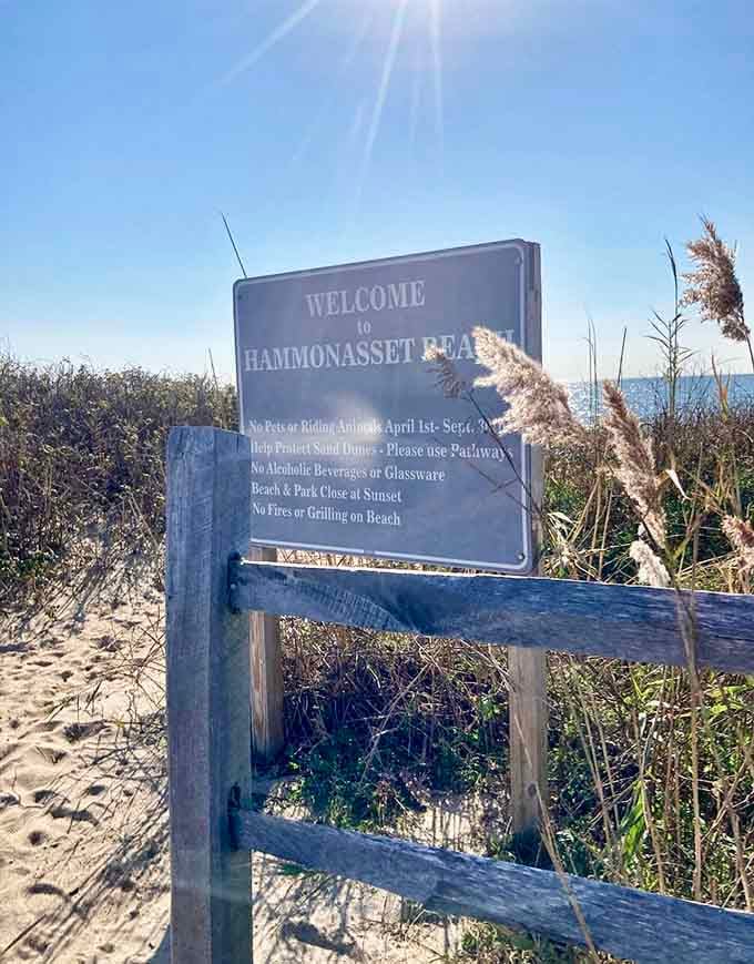 Beach rules posted clearly, because apparently some folks need reminding that glass and sand don't mix well.
