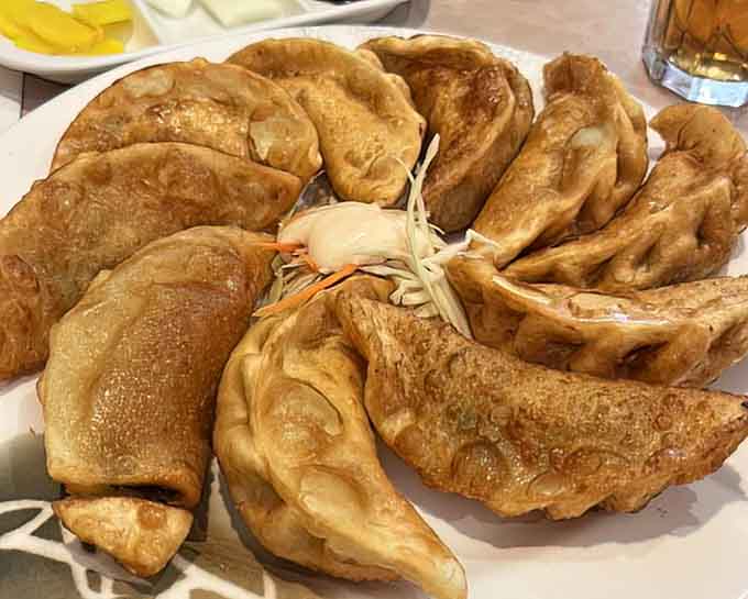 Fried mandu arranged like golden crescents of joy, crispy bottoms hiding savory filling that's worth every single calorie.