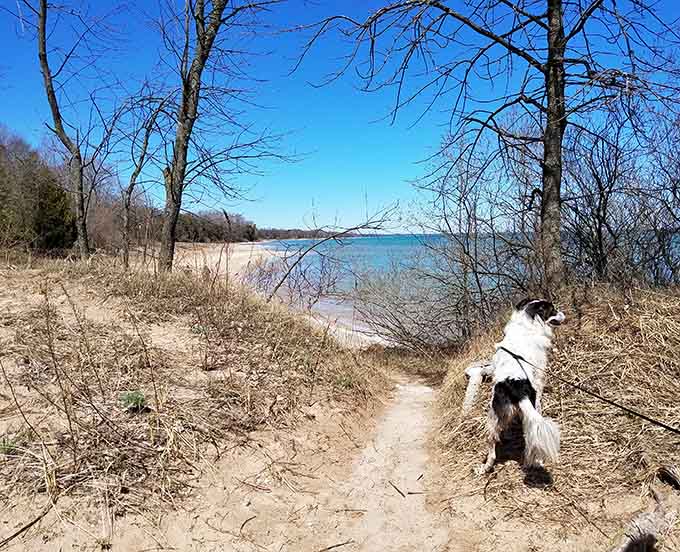 Four-legged friends appreciate the new smells here, even if they don't care about the geological significance.