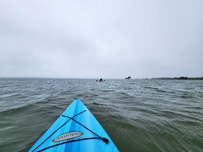 Kayaking the Sound offers a water-level view of the dunes, proving this park delivers magic from every possible angle.