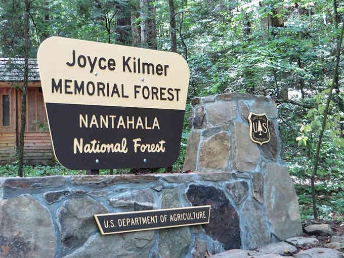 When the welcome sign is surrounded by forest this magnificent, you know you've arrived at something worth protecting.