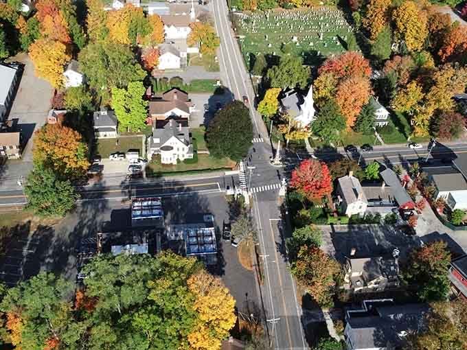 From above, Kent's tree-lined streets reveal a town that planned ahead, planting shade for generations they'd never even meet.