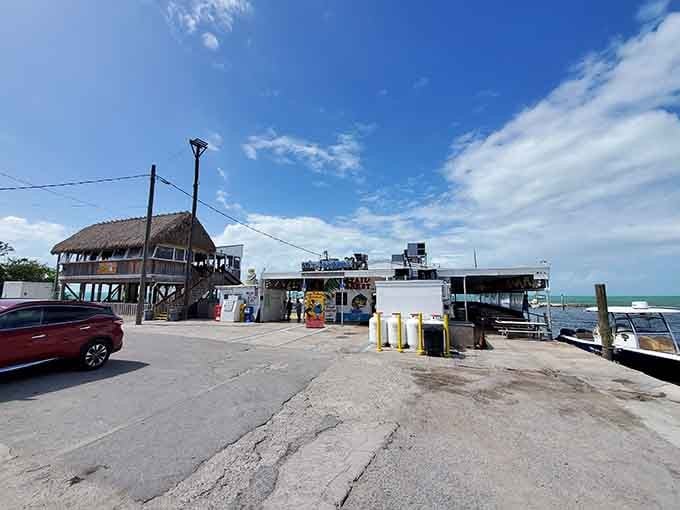 The parking lot view reveals this is a real working marina, not some themed restaurant pretending to be authentic.