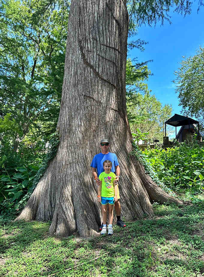 Standing beside this ancient tree puts your daily worries in perspective, reminding you that some things endure beyond our troubles.