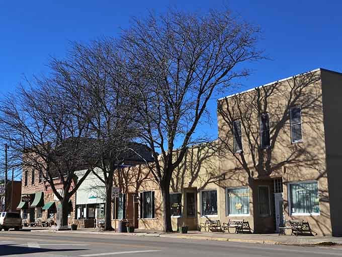 Downtown La Veta on a quiet afternoon, where bare trees cast shadows and life moves at walking speed.