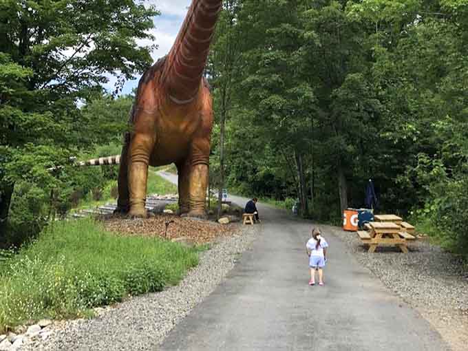 A towering Brachiosaurus watches over picnic areas where families refuel between adventures in this woodland wonderland.