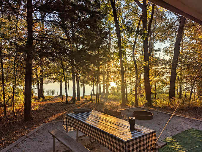 Your picnic table awaits among the pines, where dinner tastes better when served with this spectacular backdrop.