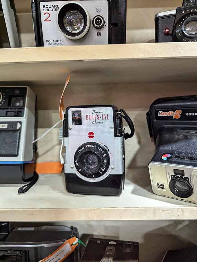 Vintage cameras that once captured memories without filters, hashtags, or the ability to delete unflattering shots immediately.