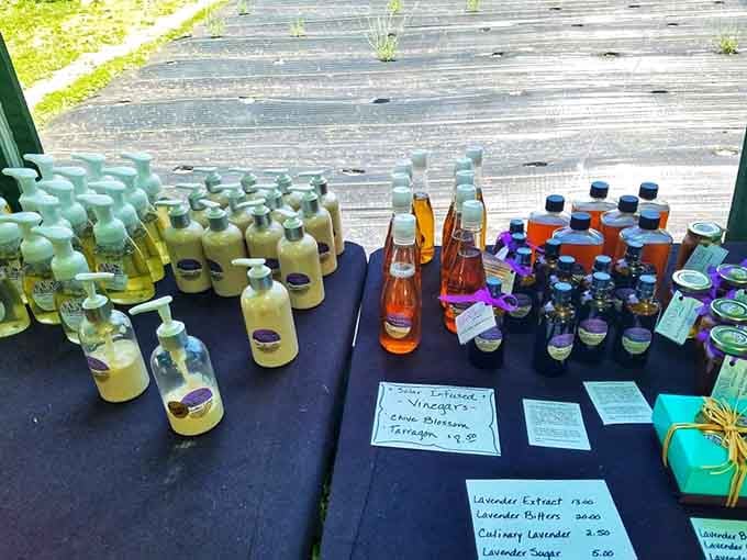 The farm shop offers lavender products ranging from culinary delights to pampering essentials for every need.