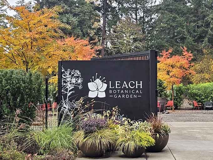 The welcoming sign marks the entrance to your botanical adventure, surrounded by autumn's colorful farewell display.