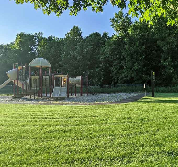 Ki Chi Saga Park's playground equipment sits on grass so green it looks like someone's been giving it pep talks every morning.