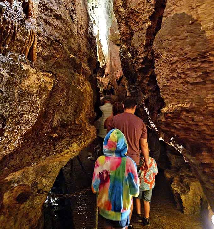 Families navigate the underground stream together, creating memories that'll outlast any theme park visit by decades.