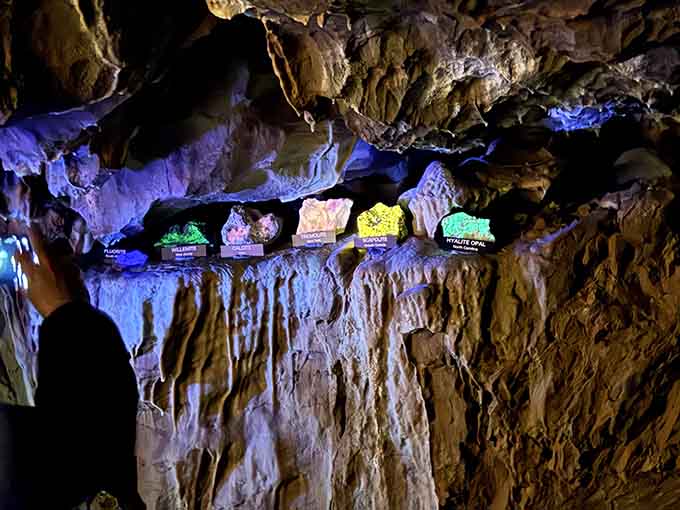Illuminated minerals glow in rainbow colors, transforming ordinary rocks into extraordinary displays of natural artistry and wonder.