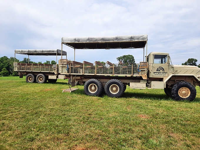 That vintage military truck at Georgia Safari hints at adventures that don't require leaving Morgan County.