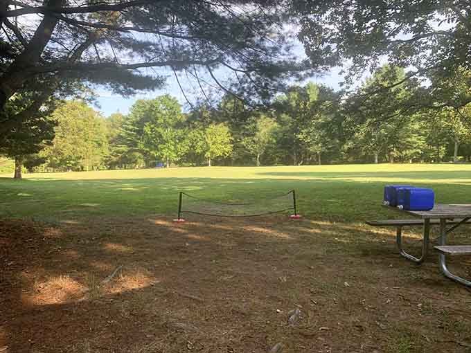 Open fields like this remind you that Connecticut has room to breathe if you know where to look.