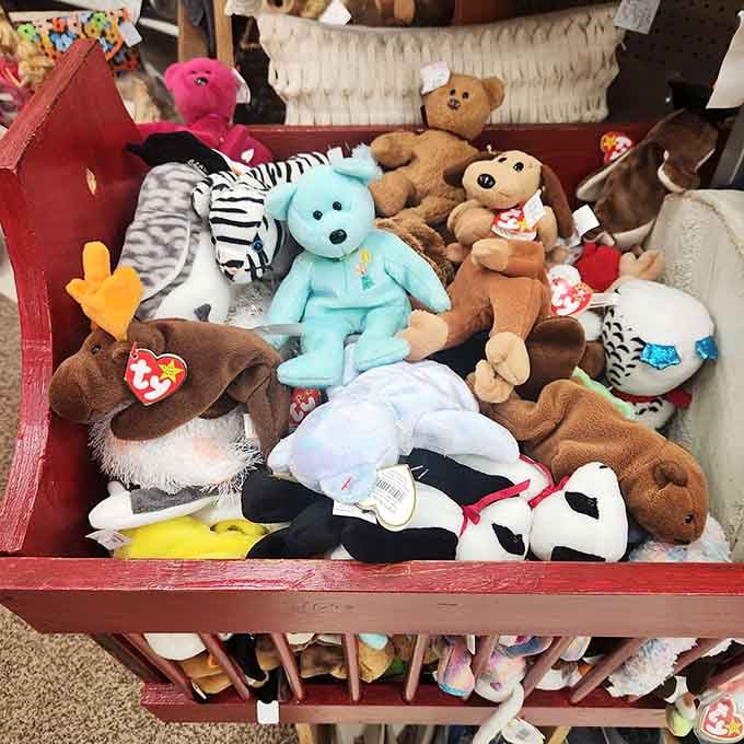 Beanie Babies await their second chance at fame, still hoping their retirement fund potential wasn't oversold.