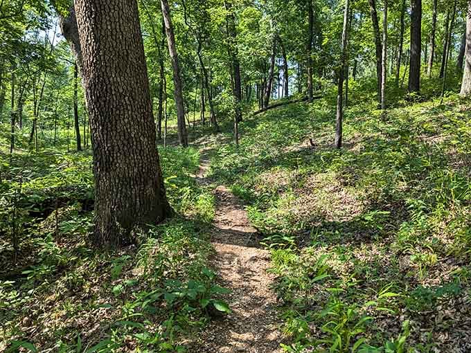 A well-worn trail through Missouri woods is basically an invitation your feet can't refuse to accept.