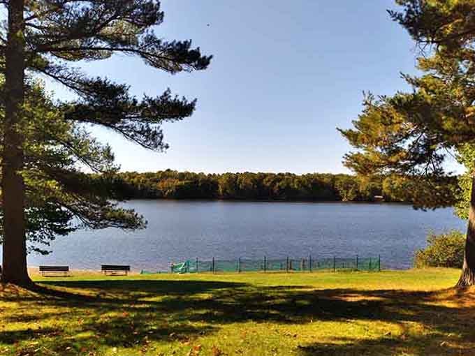 Lakeside benches frame perfect water views, offering front-row seats to nature's daily show completely free of admission charges.
