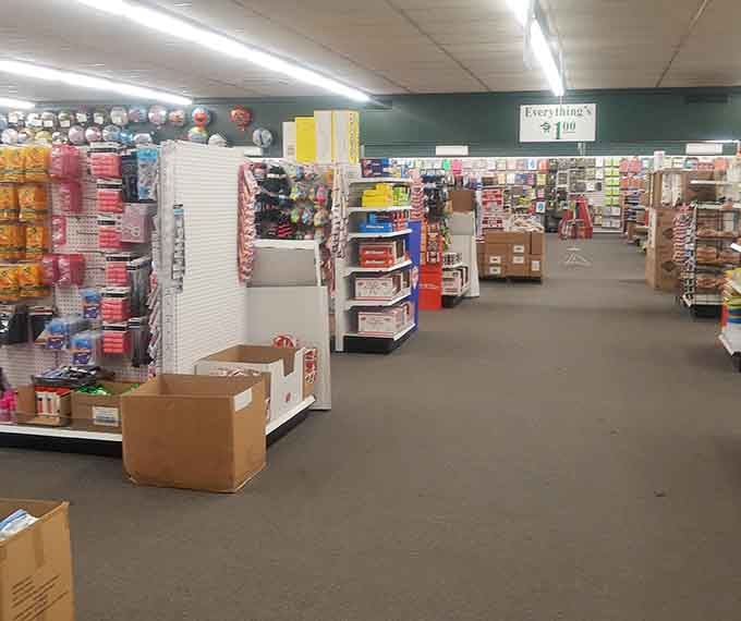 Aisles stretching into the distance like a discount wonderland where every turn reveals another delightful discovery.