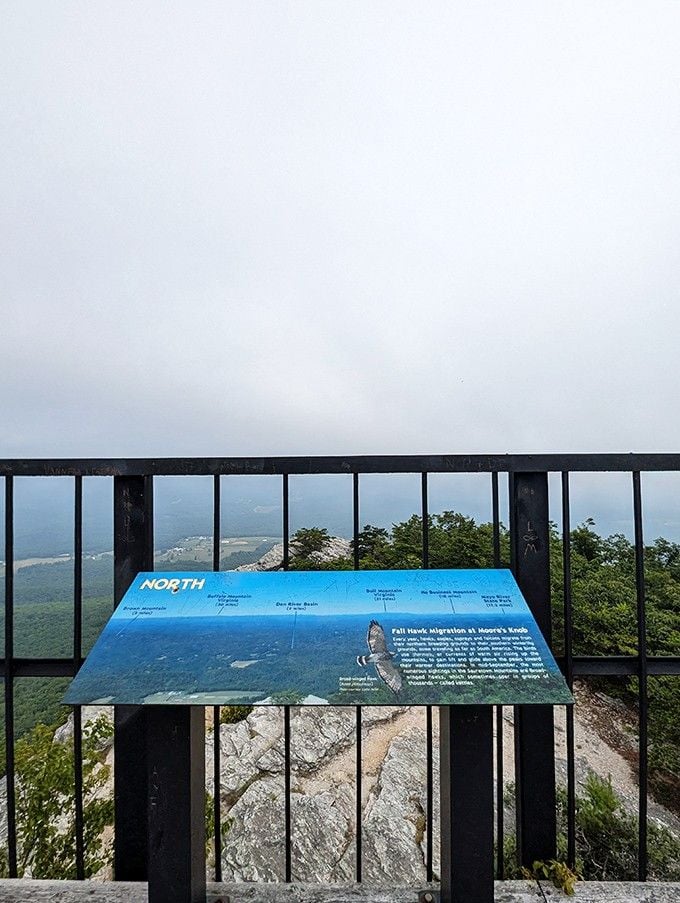 Educational displays teach you about hawk migration patterns, adding a little ornithology lesson to your already impressive workout.