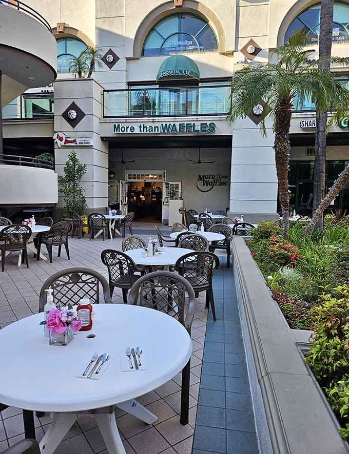 Palm trees and patio seating, because sometimes your waffles taste better with a side of sunshine.