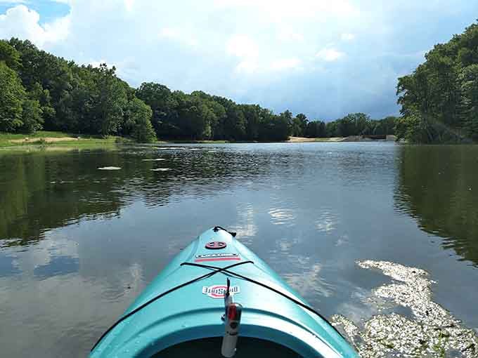 Kayaking on glass-smooth water with nothing but nature ahead. This is what peaceful mornings were invented for.