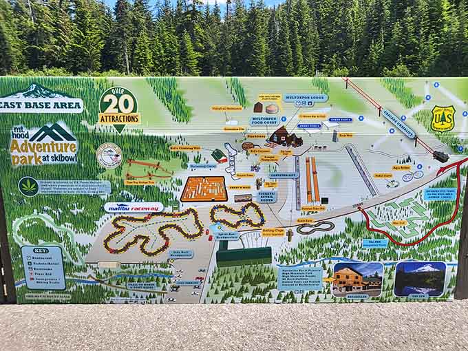 Twenty attractions in one spot means you'll need a map, a plan, and probably a nap afterward.