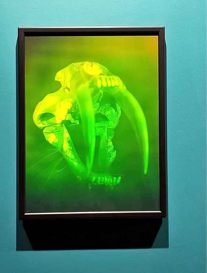 This holographic skull glows green and follows you around, making it the coolest and creepiest thing you'll see today.