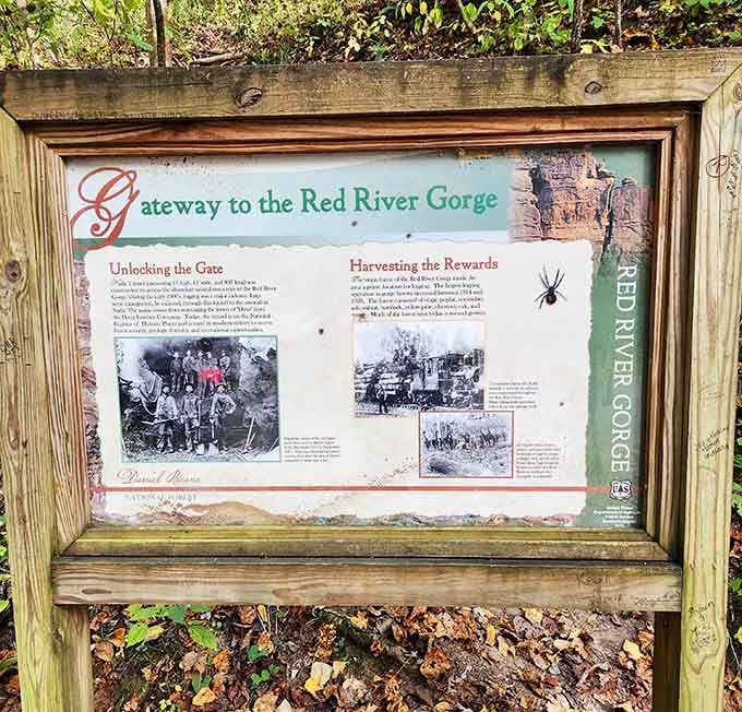History lessons are way more interesting when they involve hand-carved tunnels and tales of determined lumber workers.