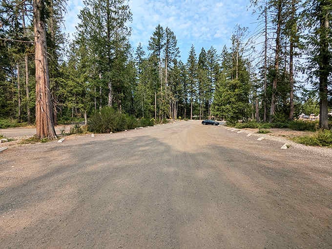 The humble parking area gives no hint of the whimsical wonderland waiting just beyond those trees and trail entrance.