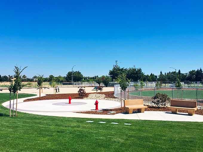 A dog park where four-legged friends can socialize while their humans pretend to supervise from benches.