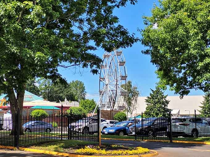 The Ferris wheel rises above the trees like a gentle giant offering the best seats in the house.