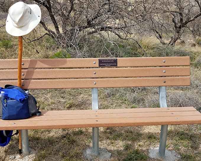 Trail benches positioned perfectly for contemplating life, mountains, and why you didn't discover this place years ago.